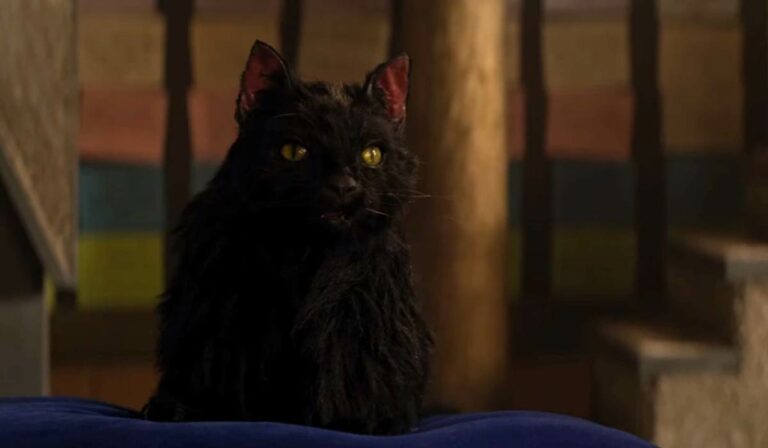 ¿Qué pasó con Salem el gato de Sabrina? - Series - El Spoiler Geek
