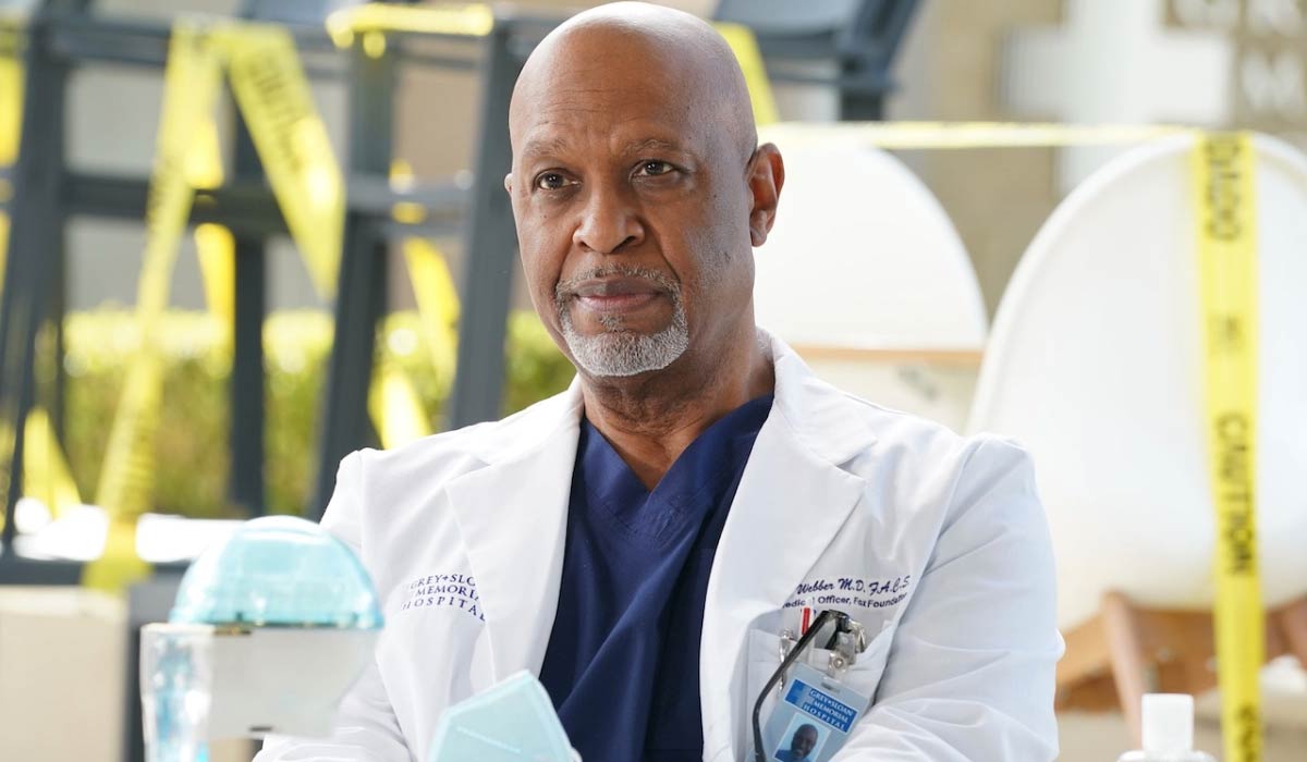 ¿Dónde ver Grey's Anatomy? Descubre las opciones para ver online ...